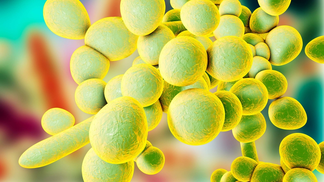 Solving a sticky, life threatening problem | Michigan Medicine