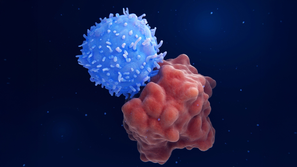 New cellular therapy trials for brain tumors | Michigan Medicine