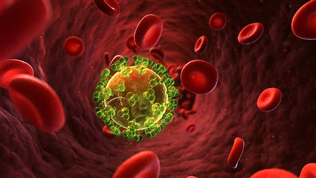 Structural Cells Help Spread HIV Within Lymphoid Organs