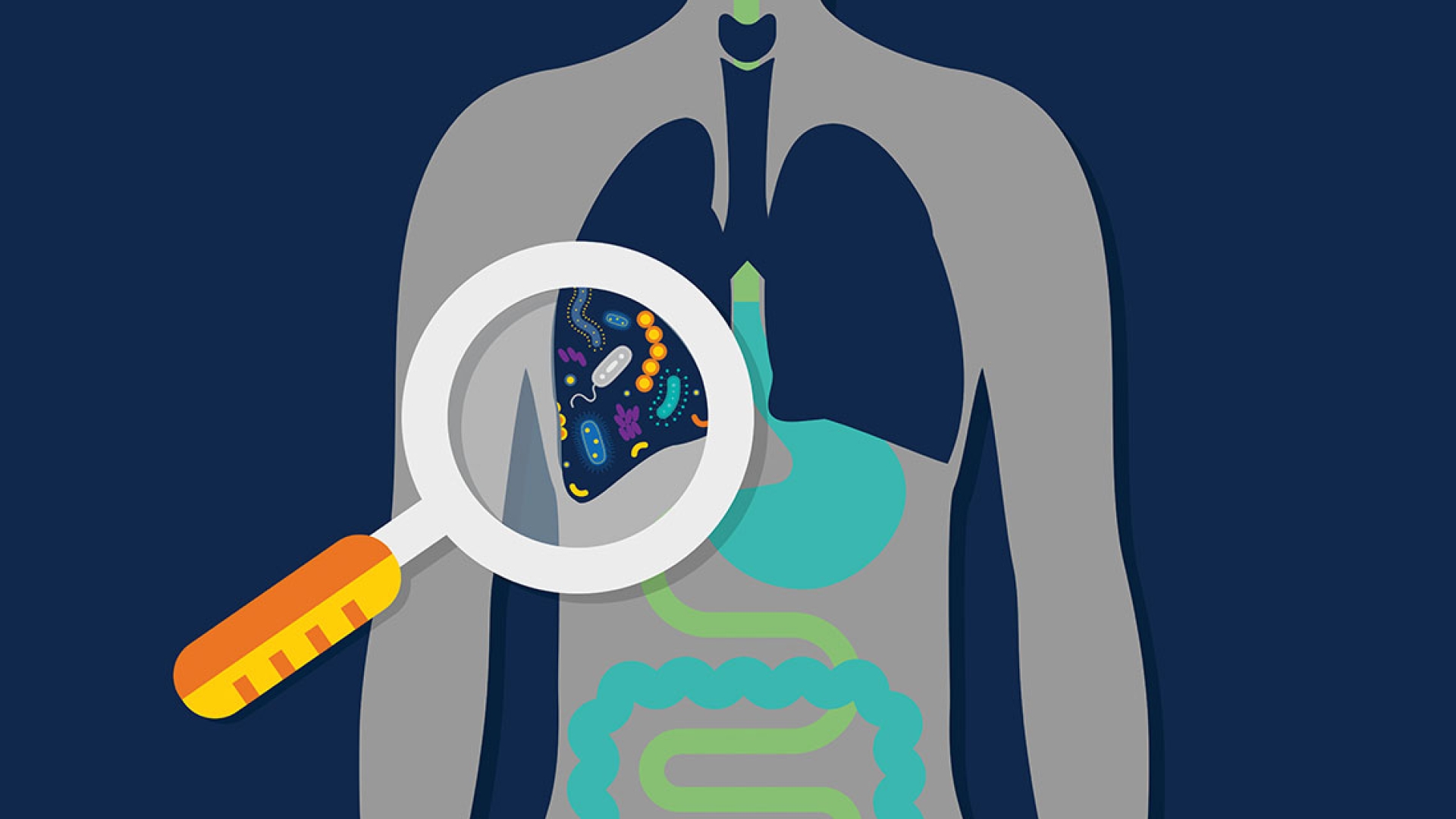 Lung Bacteria and Immunity | Michigan Medicine