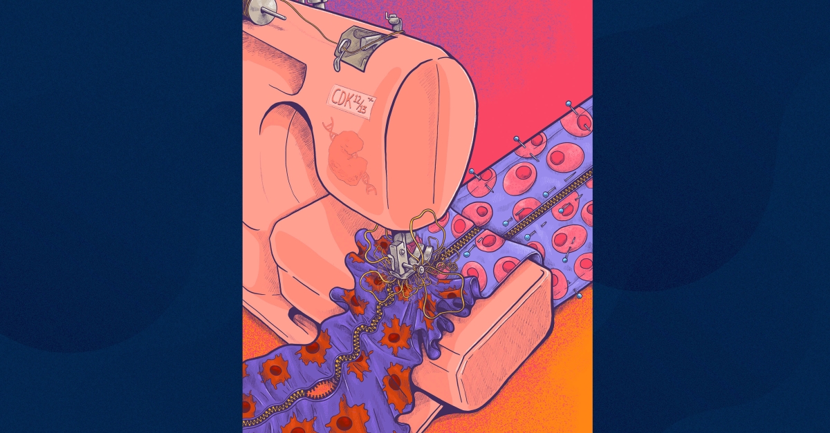 Research points to potential new treatment for aggressive prostate ...