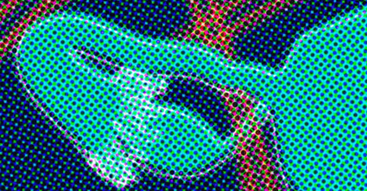 The surprising diversity of the fallopian tube