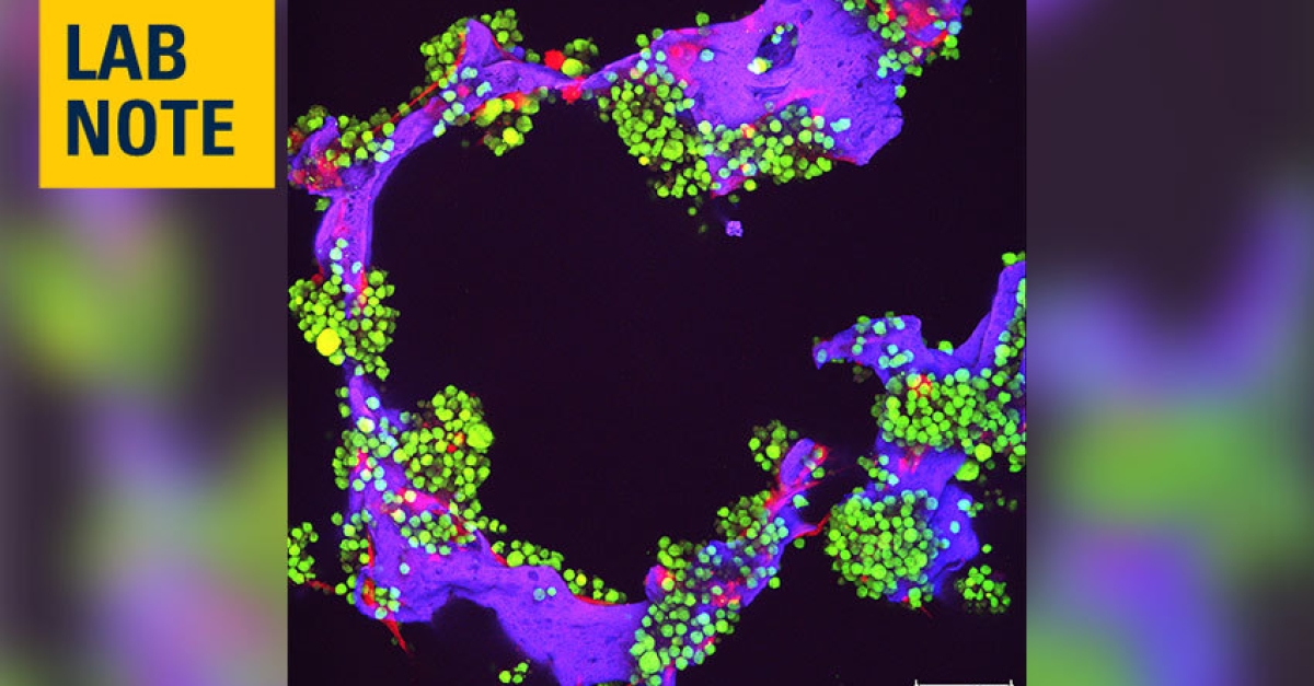 Researchers find link between genetic mutations and cancer treatment ...